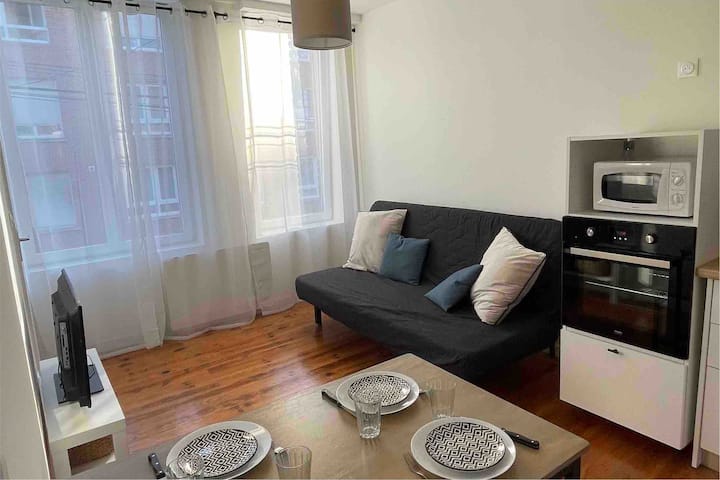 Appartement Calme à 2 Pas D’euratechnologies - Lila