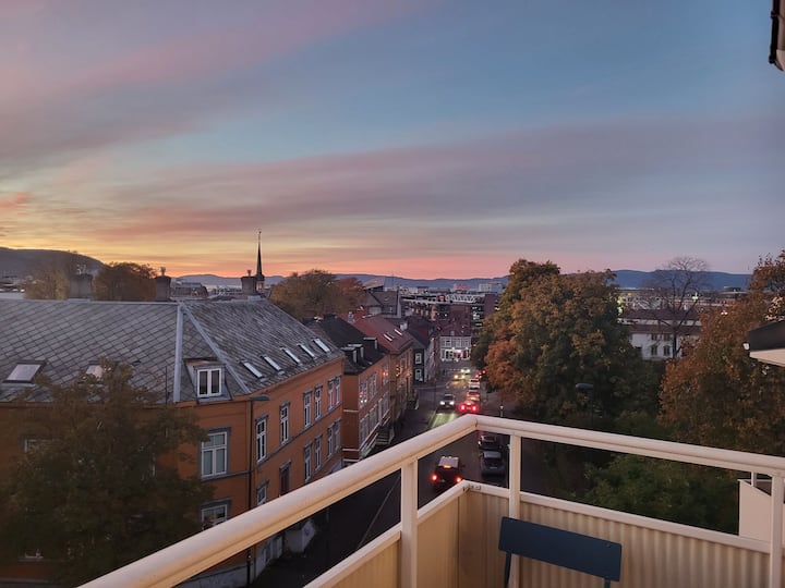 Sentral Leilighet Med Nydelig Utsikt - Trondheim