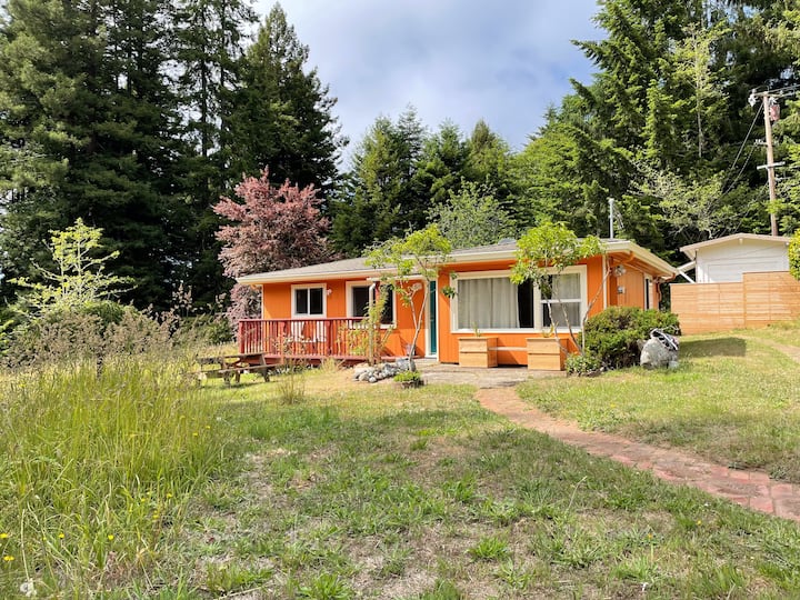 The Forest Oasis - Arcata, CA