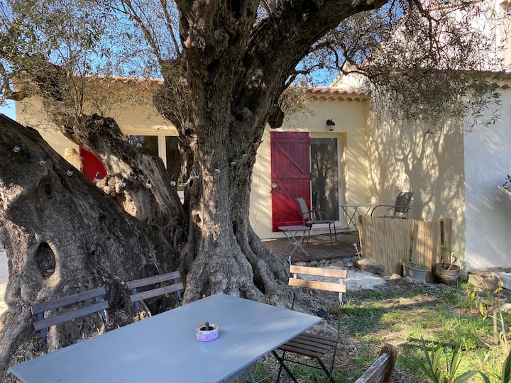 Chambres D'hôtes-jardin Sanary Sur Mer - Sanary-sur-Mer