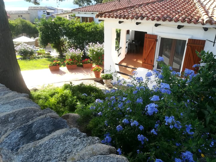 A Due Passi Dal Mare! - Arzachena