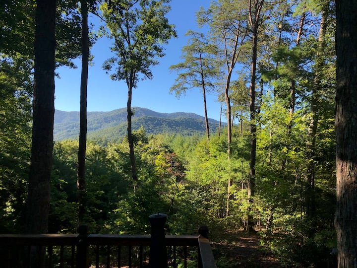 Quiet Days & Long Views - Cherry Log, GA