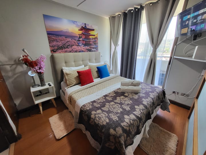 Suite Japón Con Calefacción Y Balcón - Providencia