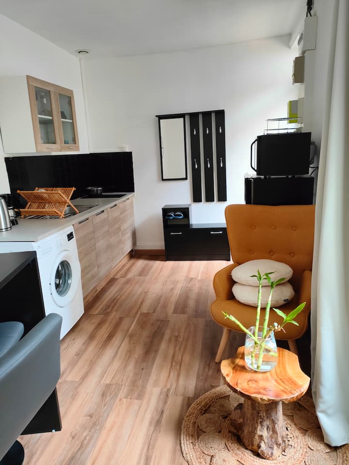 Le Déchelette 1, Petit Cocon Au Cœur De Roanne - Roanne