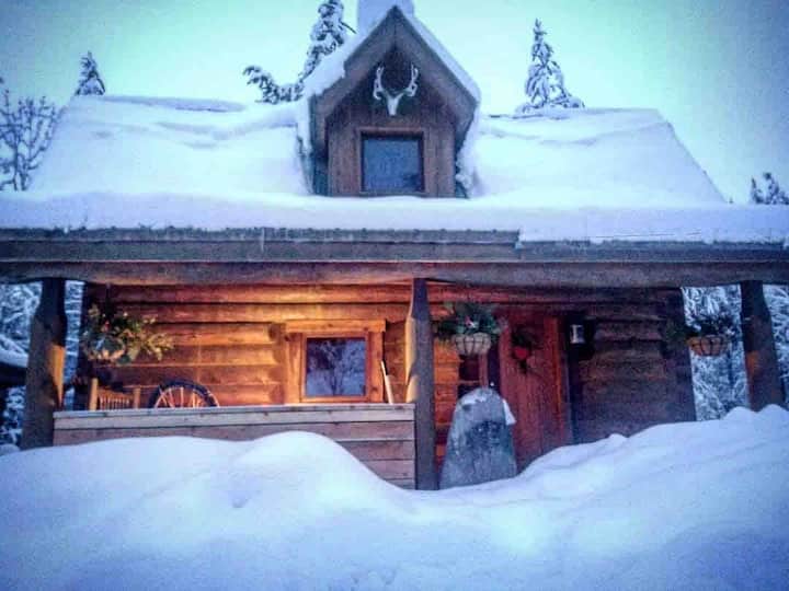 Off-grid Violet Cabin | Sauna Near Larch Hills - Enderby