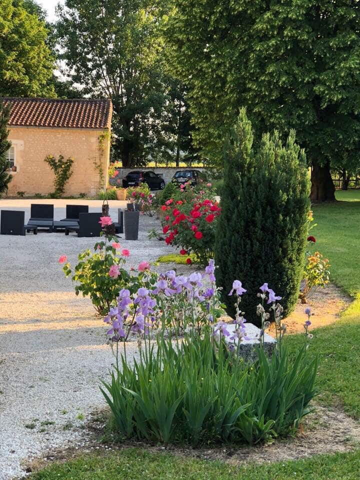 Chambre à L'ombre Des Tilleuls. - Jonzac
