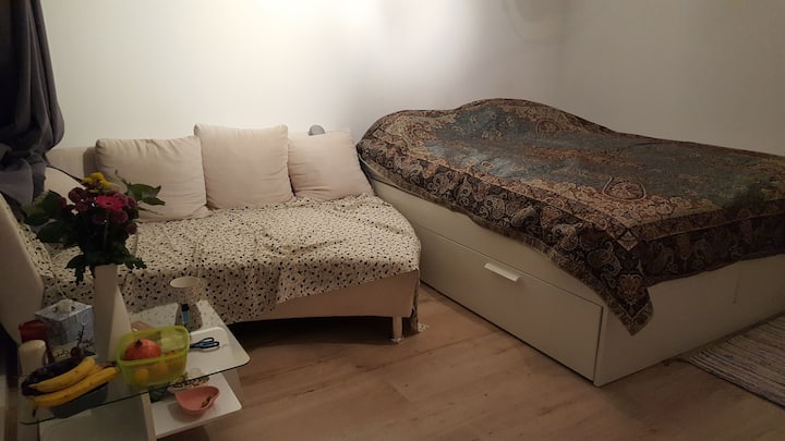 Cozy Sunset Studio With Balcony In Munich - München