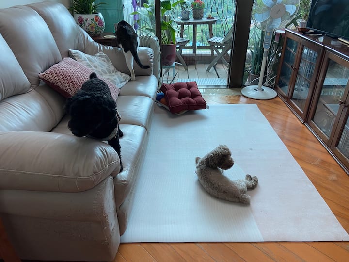 Single Bed Room With Green View - Hong Kong