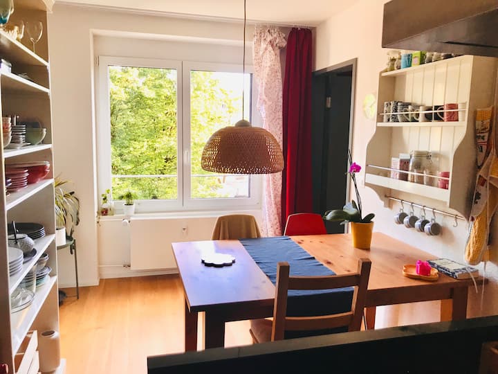 Cosy & Central, Lovely Terrace Over River & Park - Zürich