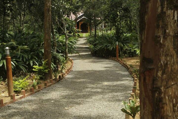 Kattappana Travel Guide 2022: Best of Kattappana Tourism | Tripoto