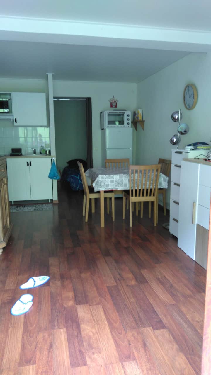 Nature Et Sports Au Pied . T1 - 35 M2 - Lathuile