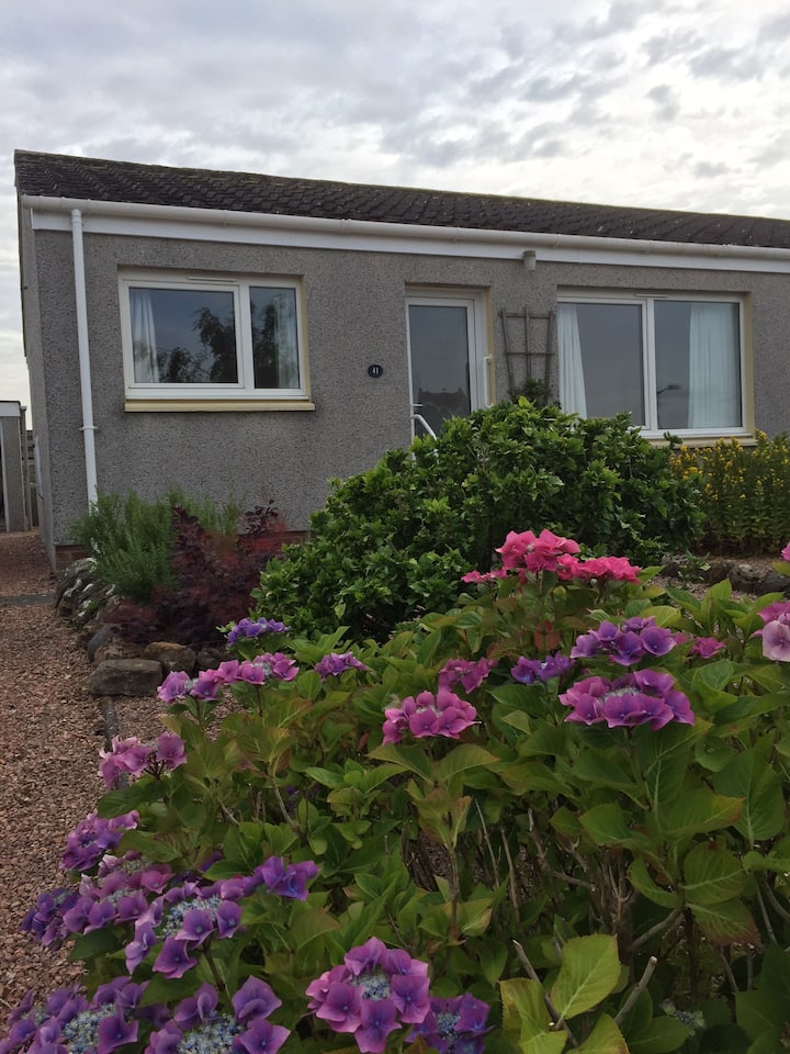 2 Bedroom Bungalow In St Andrews - Saint Andrews