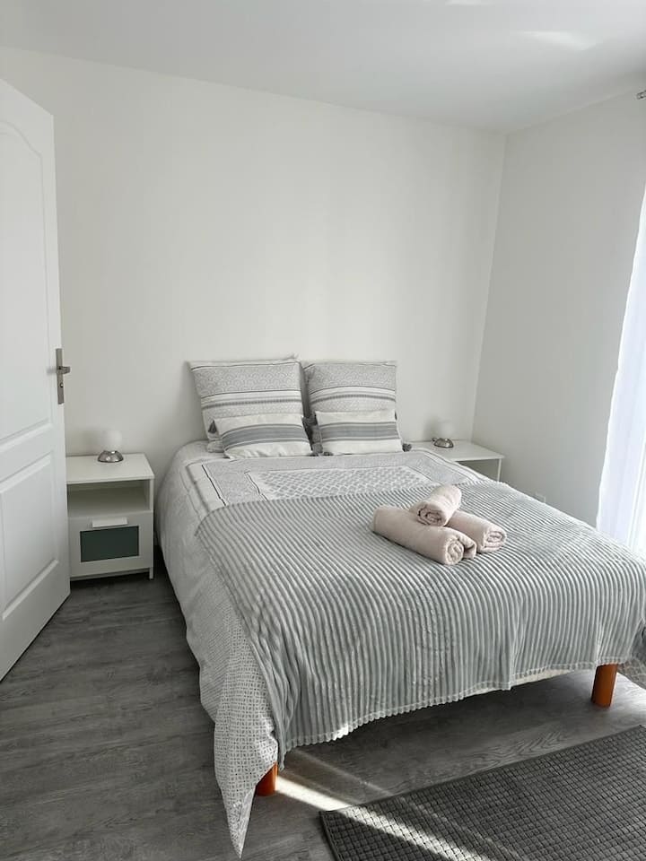 Appartement Neuf - Maisons-Alfort