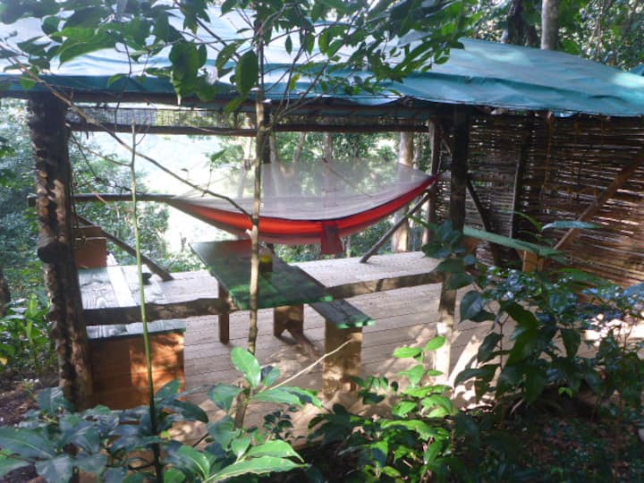 Une Nuit Insolite Au Hamac Camp De Guadeloupe - Guadeloupe