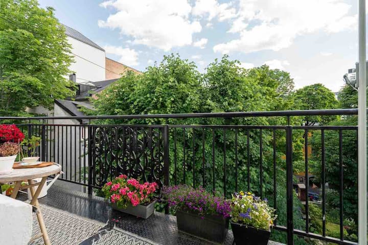 Nydelig Lys Leilighet Sentralt På St.hanshaugen - Oslo