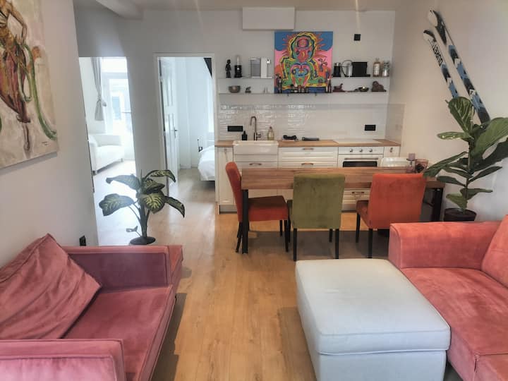 Renovated Appartement; 2 Bedroom And Garden. - Amsterdam