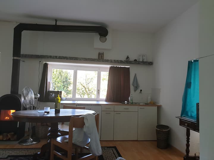 Camera Molto Ampia In Zona Centrale  Tranquilla. - Bellinzona