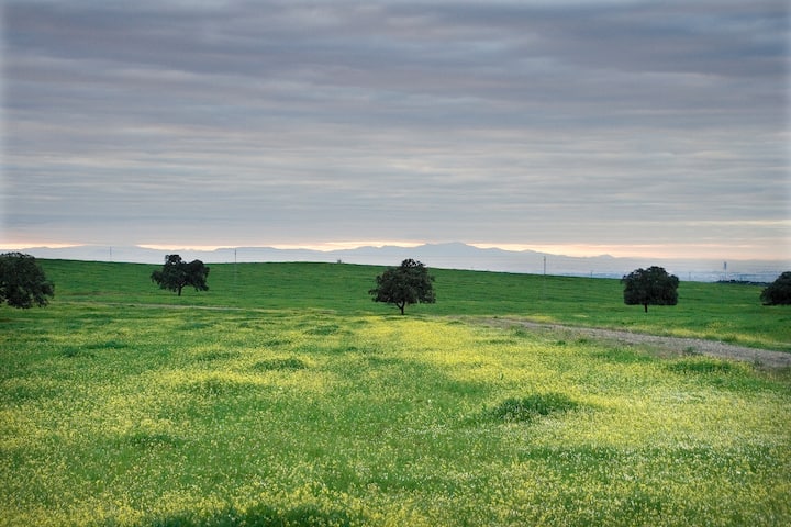 Dehesa Casa Quemada - Gerena
