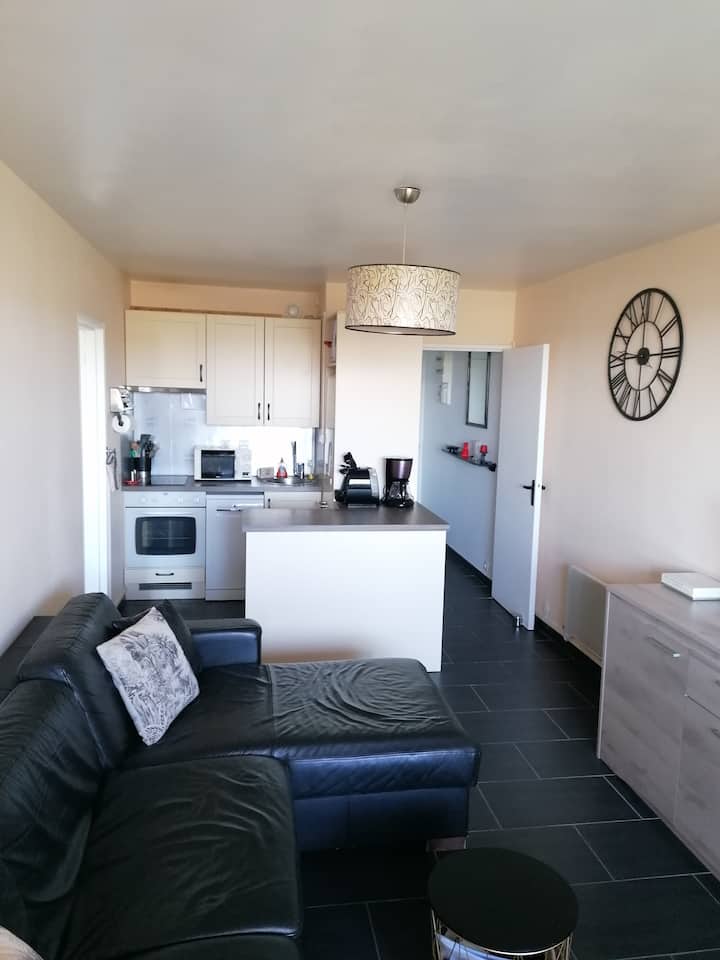 T3/50 M², Wifi, Vue Sur L'hippodrome, Parking - Cabourg