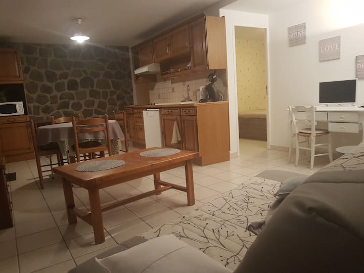 Grand Studio Bis Proche Centre-ville Avec Parking - Aurillac