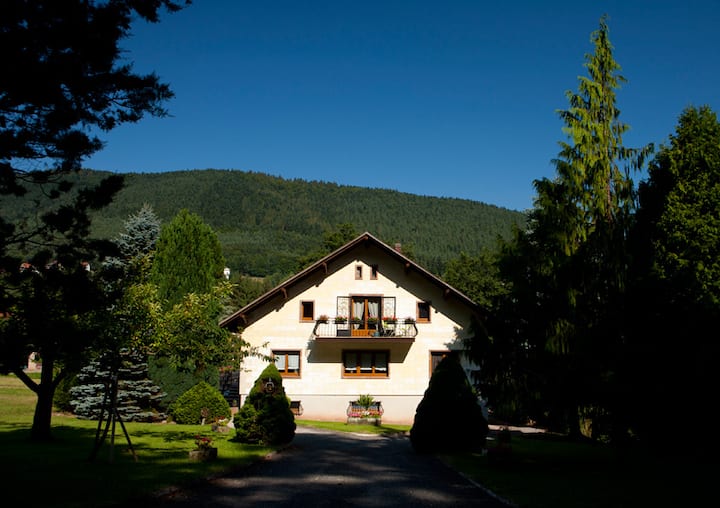 Appartement "Gîte Du Schneethal" - Bas-Rhin