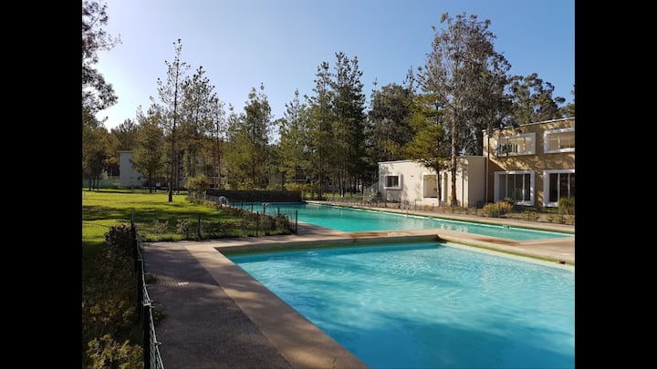 Arriendo Depto En Algarrobo - Algarrobo