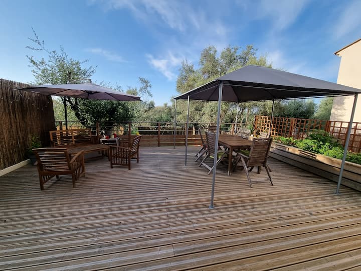 Nouveau - Jolie Villa Aux Oliviers - Vence