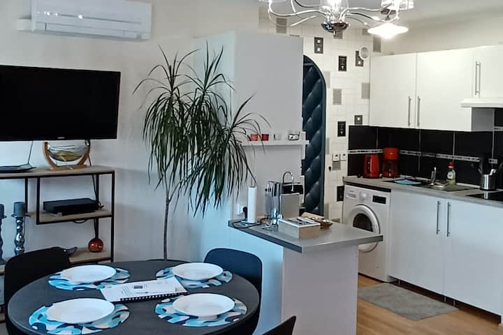 Cosy Colette,climatisé Avec Stationnement Gratuit. - Strasbourg
