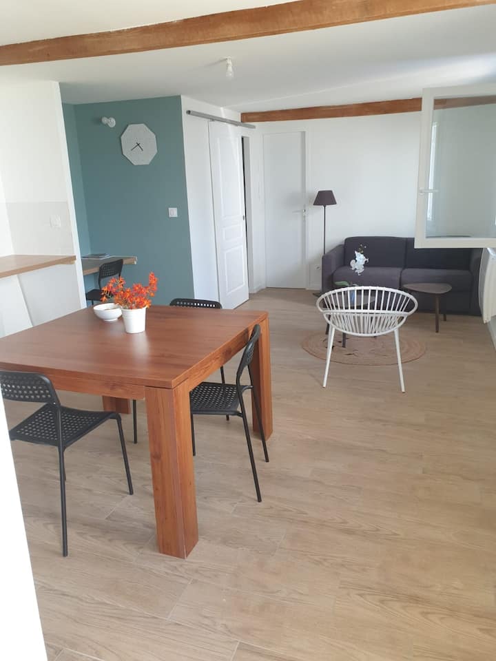 Maison Plein Centre Avec Jardin Et Parking Privé - Vannes