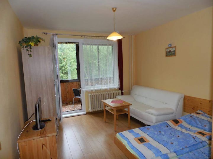 Apartmen With Balcony ,Horny Smokovec, High Tatras - Starý Smokovec