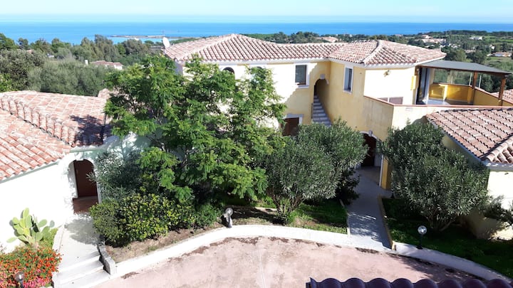 Oleandri Rossi Tanaunella A Due Passi Dal Mare - Budoni