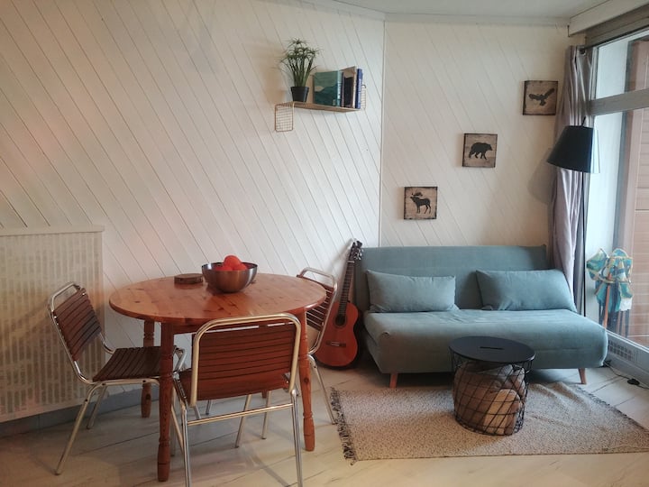 Studio Parfait Pour Vacances Réussies à La Mongie - Payolle