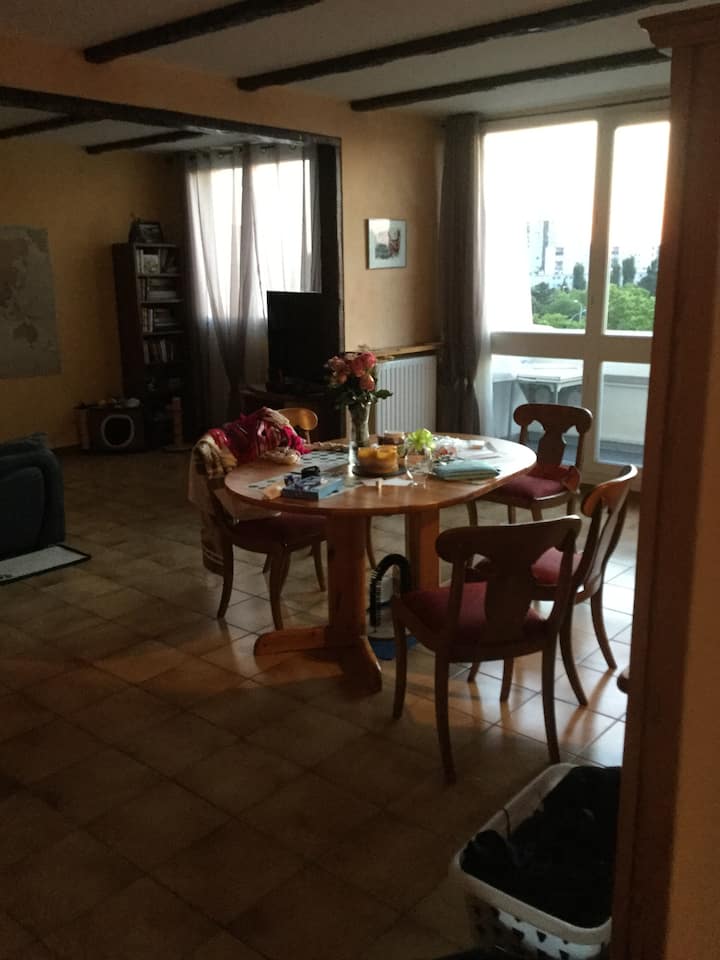 Chambre Dans Appartement Proche Aeroport - Villepinte