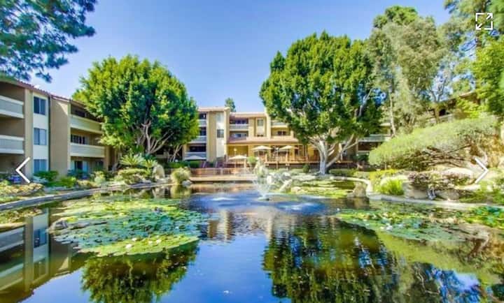 2 Br 2 Bath Pb W/3 Beds-walk To Beach & Shops - Mission Bay, CA