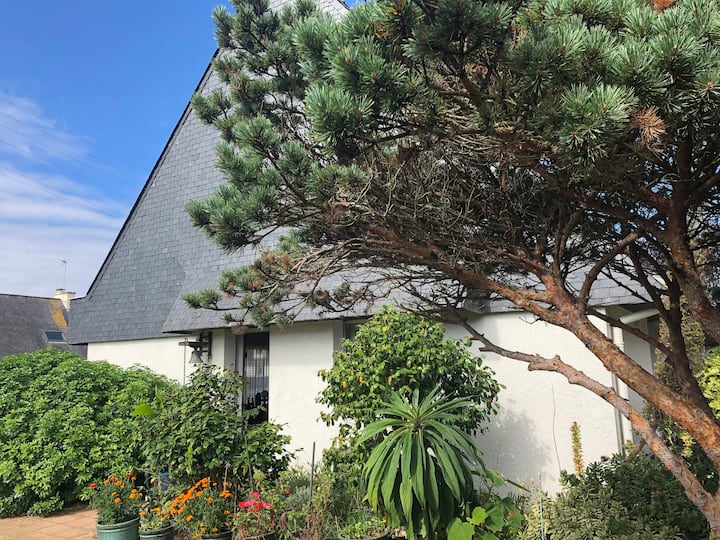 Chambre B&b Chez L'habitant En Bord De Mer - Ploemeur