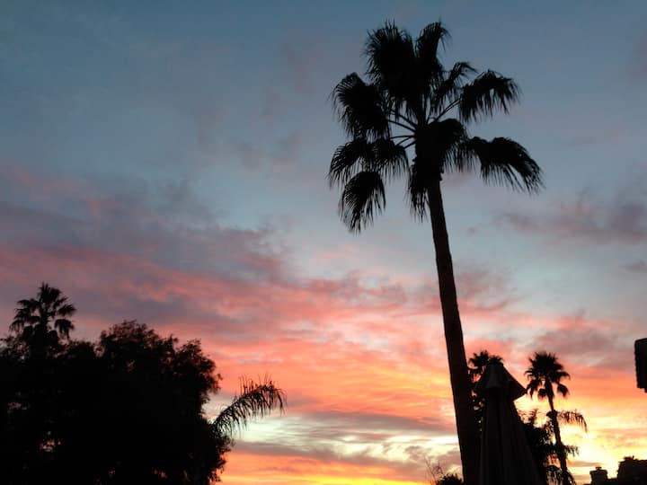 Your Private Arizona Resort - Completely Updated - Glendale, AZ