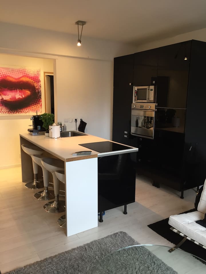 Appart Cosy Hyper Centre Lille - Lille
