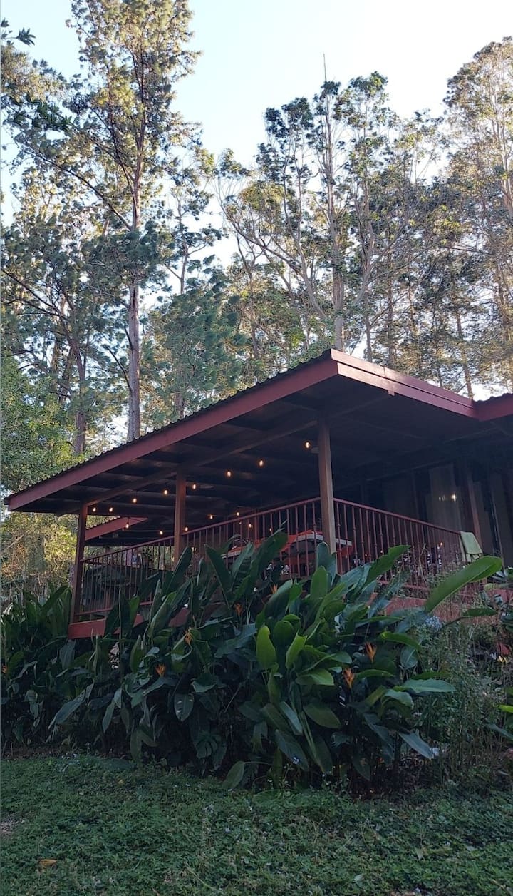 Villa Relajante Rodeada De Bosque Y Pájaros - Costa Rica