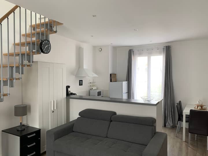 Tours Superbe Appartement Duplex Meublé Avec Gout - Joué-lès-Tours