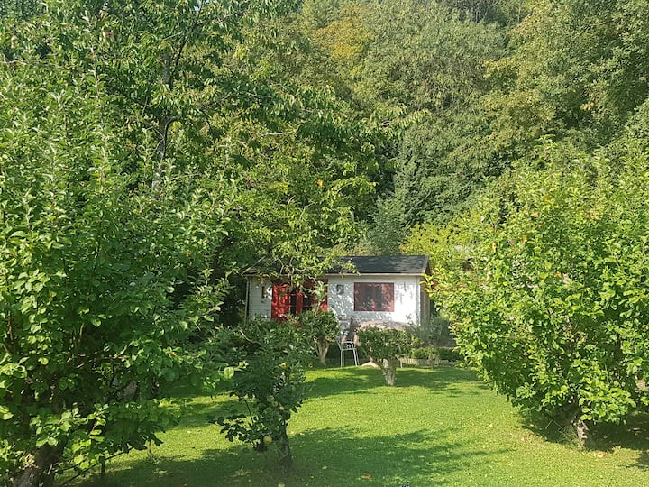 Le Paradis Caché : Chalet Shangri-la - Orgeval