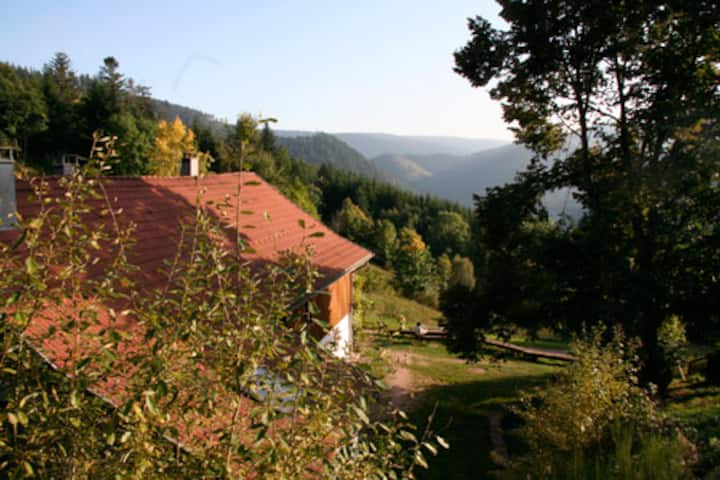 Appartement Dans Vieille Ferme Au Coeur Des Vosges - Orbey
