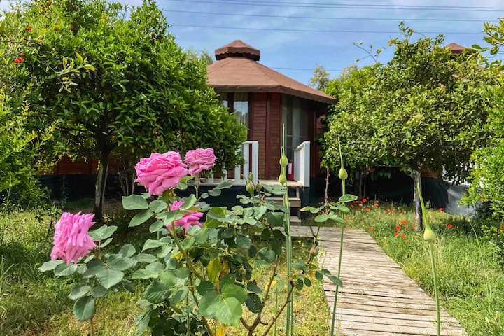 Beachside Bungalow In A Serene Garden - Adrasan