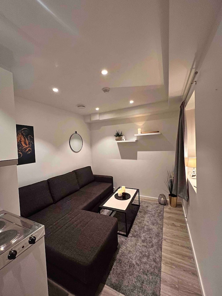 1 Roms Leilighet Sentralt - Tromsø