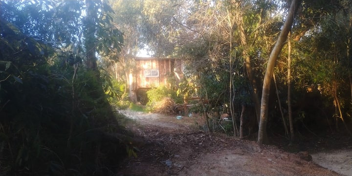 Aldea Charrua 2 (La Casa Del áRbol 2) - La Floresta