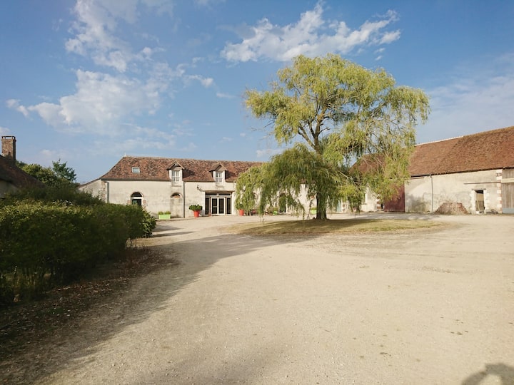 Gîte De Groupe La Hubardière - Salle De Réception - Chaumont-sur-Loire