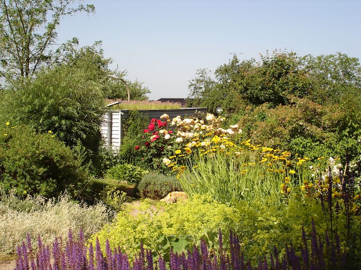 Baubiologisches Architektenhaus - Auggen