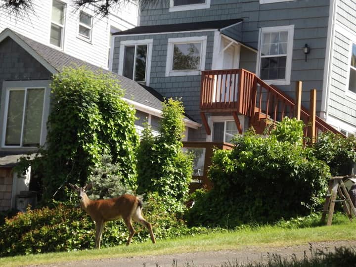 Pet-friendly Studio With Panoramic River Views - Astoria