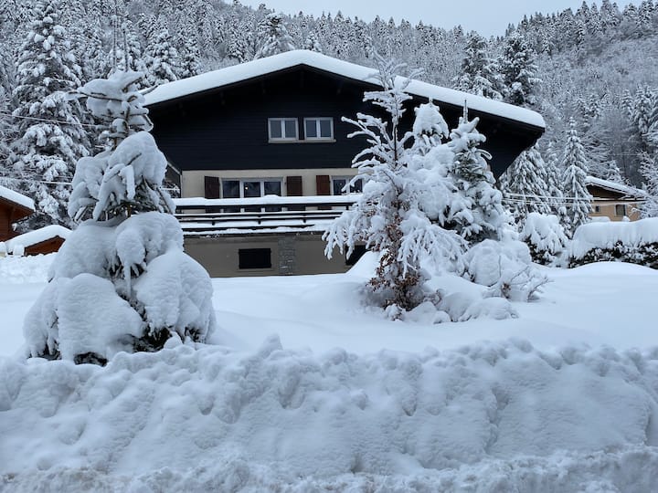 Chalet Des Hauts Sapins La Bresse - La Bresse