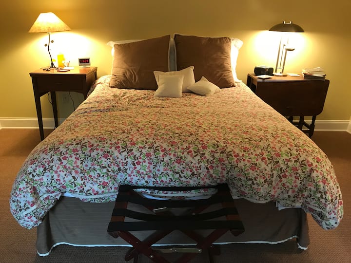 Beautiful 1 Bedroom, Super Quiet Location, In Town - Atlanta