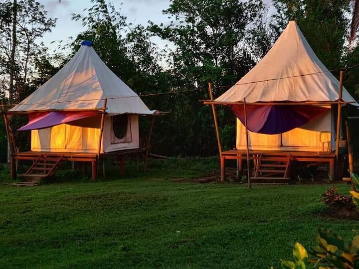 Glamping Tents - Majayjay